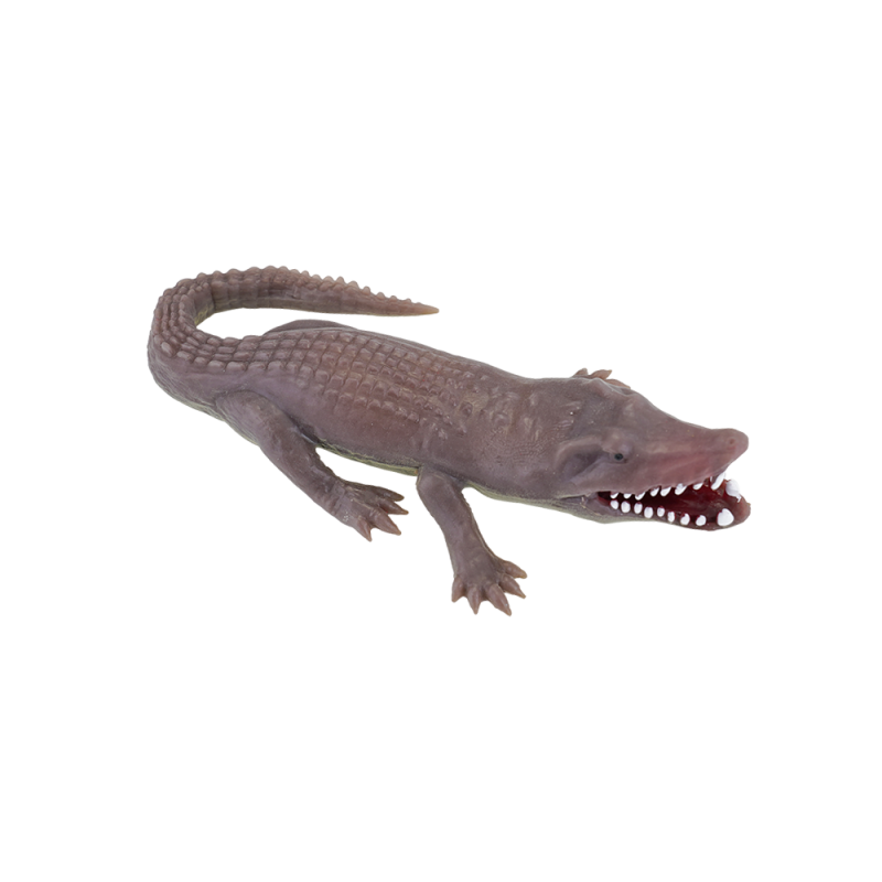 Legend of Animals Night Predators